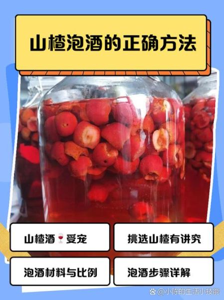 泡山楂酒用什么酒最好_泡山楂酒的做法步骤-第2张图片-山城妙识 泡山楂酒用什么酒最好_泡山楂酒的做法步骤-第2张图片-山城妙识