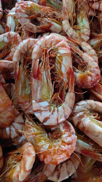 对虾怎么吃最好吃_对虾怎么剥壳最快-第3张图片-山城妙识