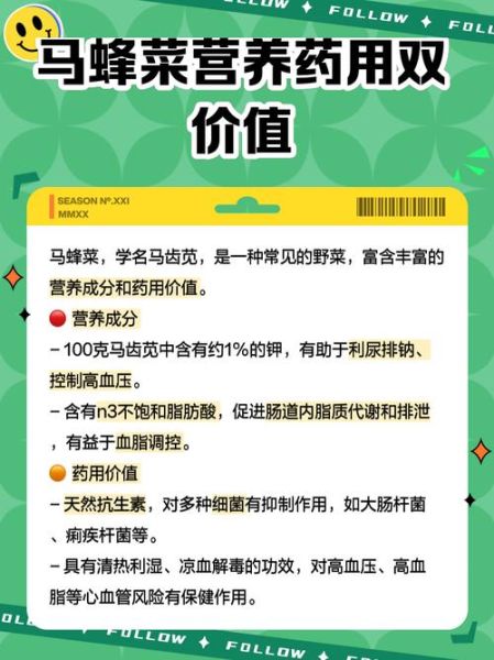 马蜂菜的功效与作用禁忌_什么人不能吃马蜂菜-第1张图片-山城妙识