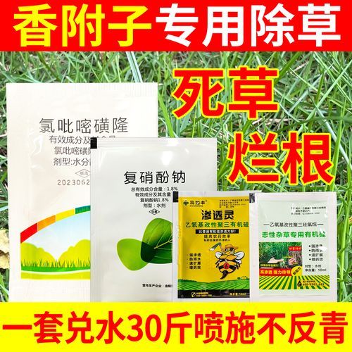 香附子除草剂特效药有哪些_香附子用什么除草剂能根除-第1张图片-山城妙识