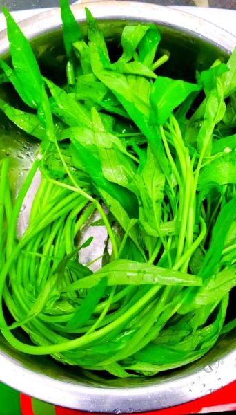 空心菜又叫什么菜_空心菜别名有哪些-第2张图片-山城妙识