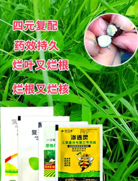 香附子除草剂特效药有哪些_香附子用什么除草剂能根除-第3张图片-山城妙识
