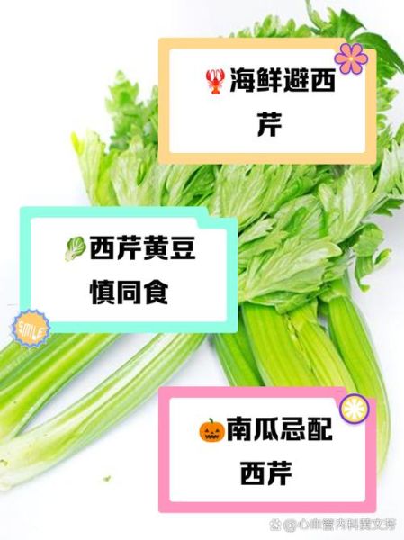芹菜不能和什么一起吃_芹菜吃多了有什么副作用-第2张图片-山城妙识 芹菜不能和什么一起吃_芹菜吃多了有什么副作用-第2张图片-山城妙识