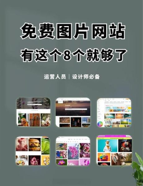 高清图片素材库怎么找_免费商用高清图去哪下-第1张图片-山城妙识 高清图片素材库怎么找_免费商用高清图去哪下-第1张图片-山城妙识