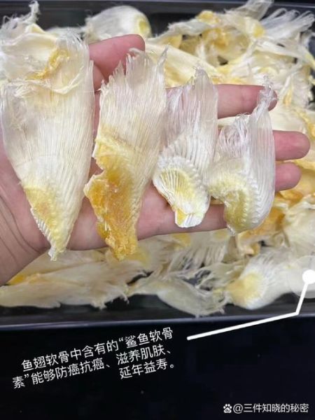 鱼翅图片大全大图_鱼翅真假怎么辨别-第2张图片-山城妙识