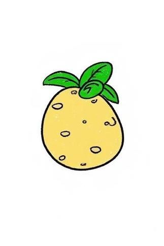 土豆图片卡通怎么做_卡通土豆简笔画教程-第3张图片-山城妙识