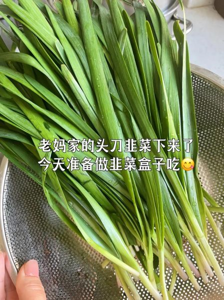韭菜怎么做好吃_韭菜的吃法与做法大全-第3张图片-山城妙识