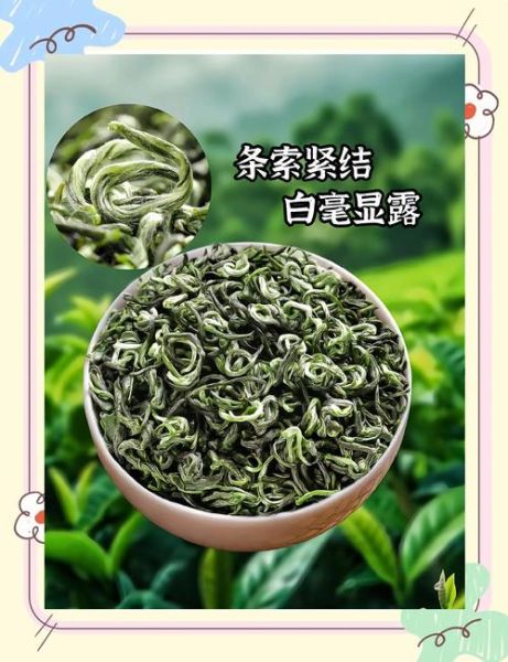 碧螺春茶叶价格多少钱一斤_碧螺春茶图片如何辨别真假-第1张图片-山城妙识