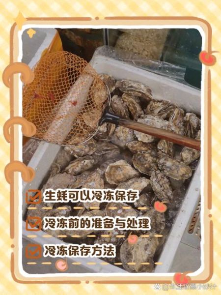 冷冻生蚝怎么做好吃_冷冻生蚝解冻技巧-第1张图片-山城妙识