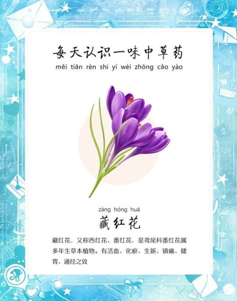 藏红花有什么功效_藏红花对女人有什么好处-第1张图片-山城妙识