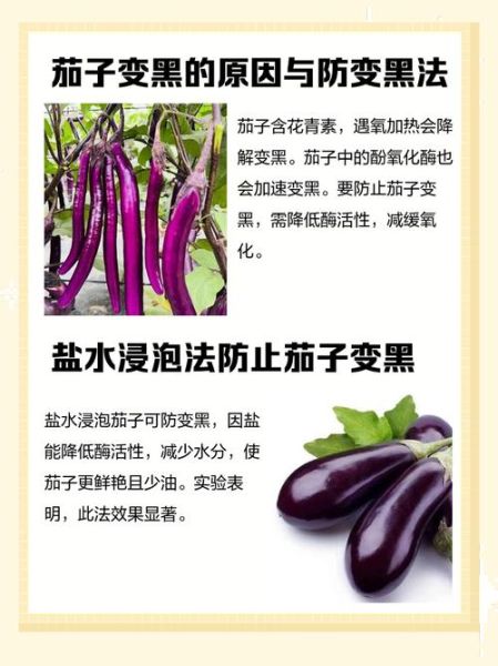 茄子怎么炒不会变黑_茄子炒出来发黑怎么办-第2张图片-山城妙识 茄子怎么炒不会变黑_茄子炒出来发黑怎么办-第2张图片-山城妙识