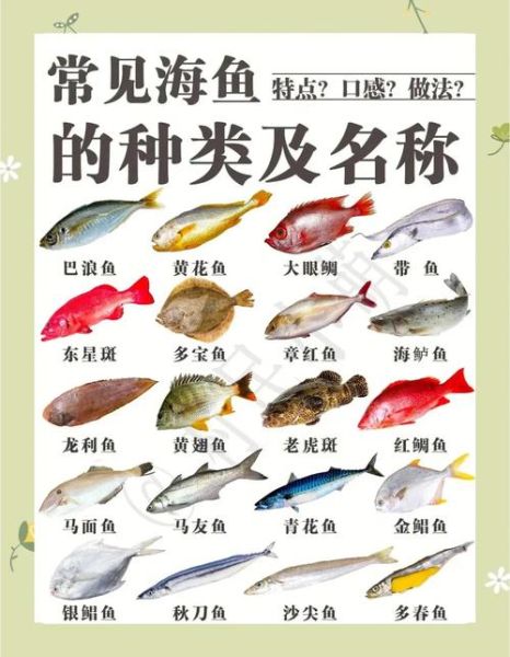 海鱼种类名称图片大全_哪些海鱼适合常吃-第1张图片-山城妙识