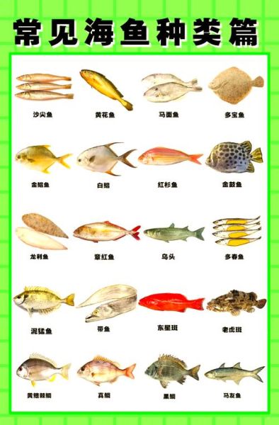 海鱼种类名称图片大全_哪些海鱼适合常吃-第2张图片-山城妙识