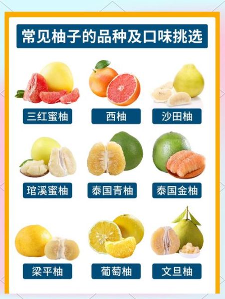 柚子的营养价值有哪些_吃柚子能减肥吗-第3张图片-山城妙识 柚子的营养价值有哪些_吃柚子能减肥吗-第3张图片-山城妙识