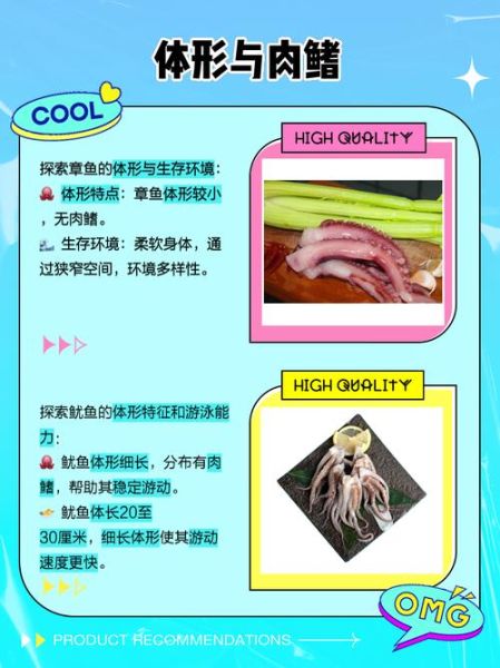 章鱼须怎么处理干净_章鱼须清洗去腥技巧-第2张图片-山城妙识 章鱼须怎么处理干净_章鱼须清洗去腥技巧-第2张图片-山城妙识