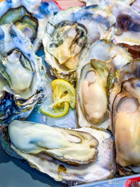 牡蛎图片大全大图_牡蛎高清图鉴怎么拍-第2张图片-山城妙识