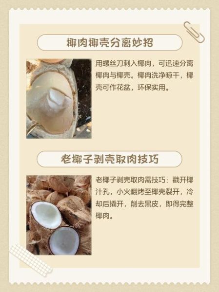 椰肉怎么做零食_椰肉零食做法大全-第1张图片-山城妙识