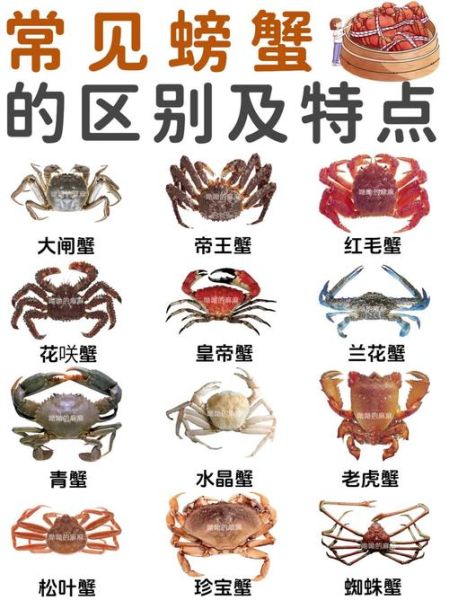 螃蟹有哪些品种_常见蟹类大全-第3张图片-山城妙识