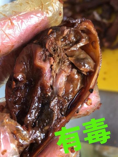 鸭头能吃吗_鸭头有没有毒-第1张图片-山城妙识