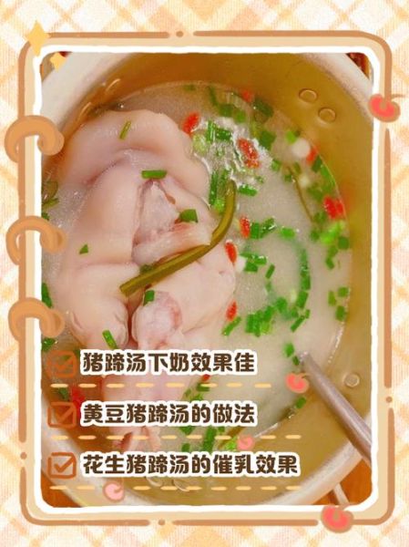 下奶猪蹄汤怎么做_猪蹄汤下奶做法-第3张图片-山城妙识