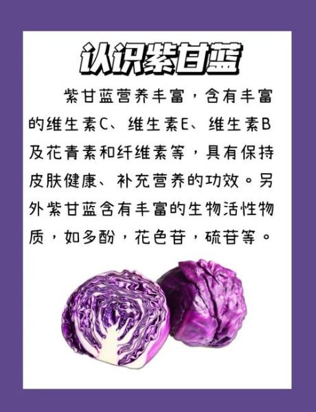 紫甘蓝泡菜怎么做_紫甘蓝泡菜的功效与作用-第2张图片-山城妙识 紫甘蓝泡菜怎么做_紫甘蓝泡菜的功效与作用-第2张图片-山城妙识