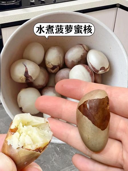 菠萝蜜籽能吃吗_怎么吃才安全-第1张图片-山城妙识