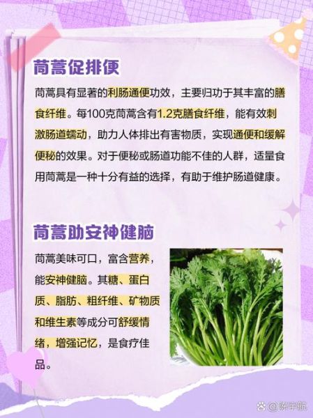 山茼蒿的功效与作用_山茼蒿怎么吃最健康-第1张图片-山城妙识