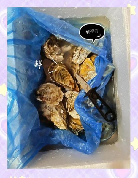 生蚝蒜蓉酱怎么做_蒜蓉生蚝酱配方-第2张图片-山城妙识 生蚝蒜蓉酱怎么做_蒜蓉生蚝酱配方-第2张图片-山城妙识