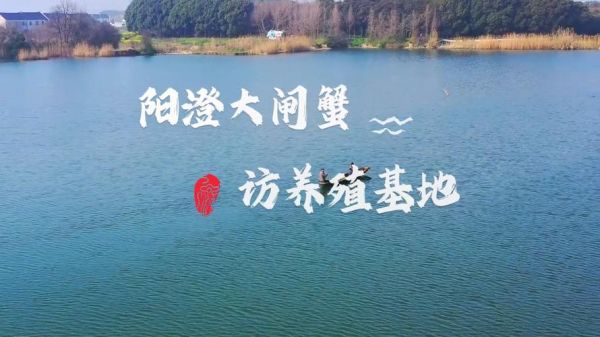 阳澄湖大闸蟹在什么地方_正宗产地到底在哪-第3张图片-山城妙识