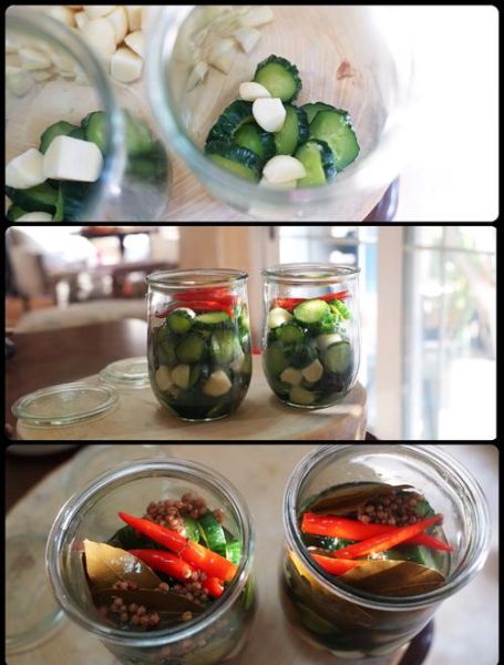 10斤酱黄瓜怎么腌制_酱黄瓜脆爽秘诀-第3张图片-山城妙识 10斤酱黄瓜怎么腌制_酱黄瓜脆爽秘诀-第3张图片-山城妙识