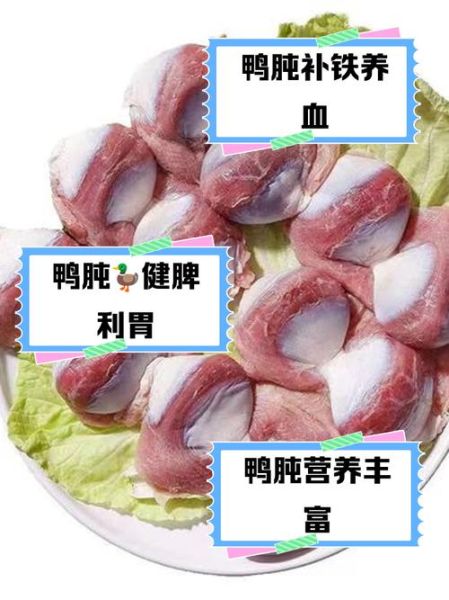 鸭肫是哪个部位_鸭肫和鸭胗的区别-第2张图片-山城妙识
