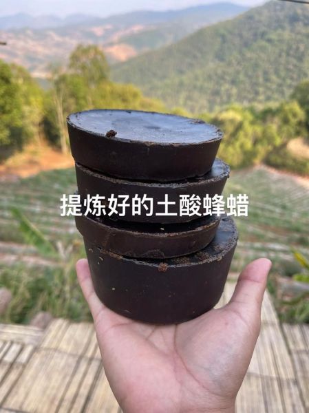 蜂蜡怎么熬制_蜂蜡熬制方法-第3张图片-山城妙识 蜂蜡怎么熬制_蜂蜡熬制方法-第3张图片-山城妙识