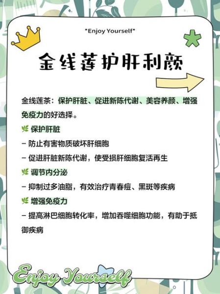 金线莲的功效与作用_金线莲多少钱一斤-第2张图片-山城妙识