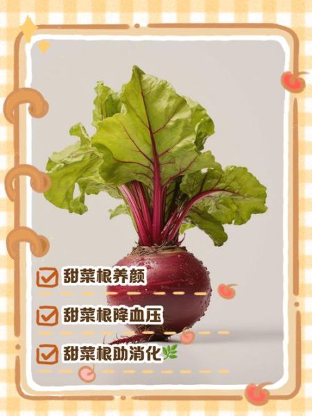 长期吃甜菜根有什么好处_甜菜根能天天吃吗-第3张图片-山城妙识