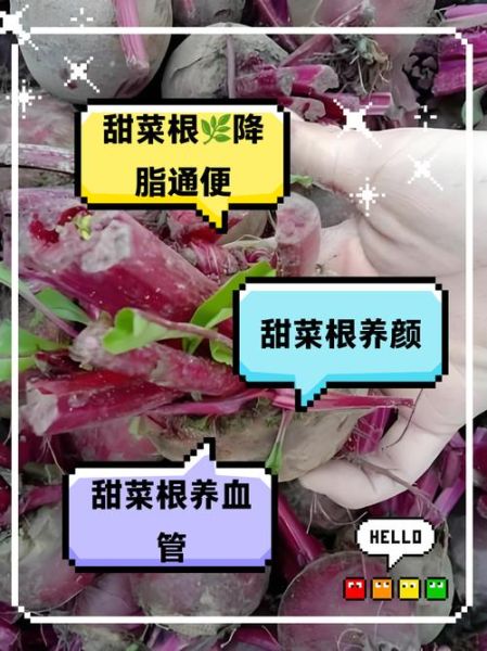 长期吃甜菜根有什么好处_甜菜根能天天吃吗-第2张图片-山城妙识