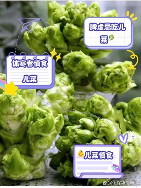 儿菜图片是什么菜_儿菜和儿菜的吃法区别-第3张图片-山城妙识