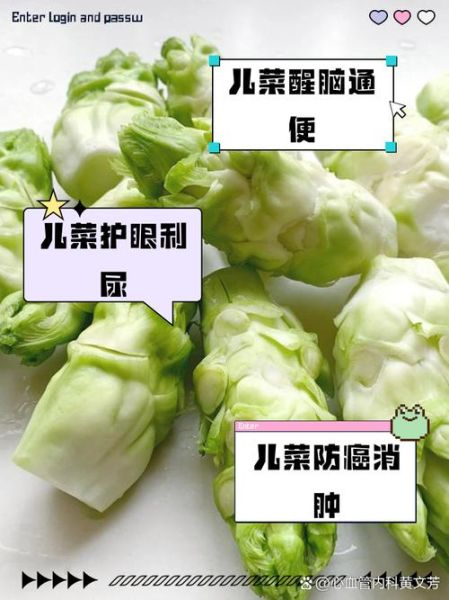 儿菜图片是什么菜_儿菜和儿菜的吃法区别-第2张图片-山城妙识
