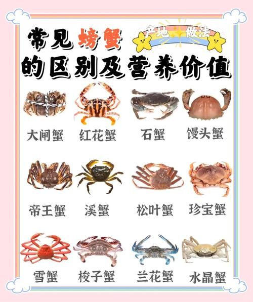 螃蟹放家里怎么养活_螃蟹能活几天-第1张图片-山城妙识