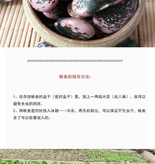 黑芸豆的功效与作用_黑芸豆怎么吃最养肾-第1张图片-山城妙识