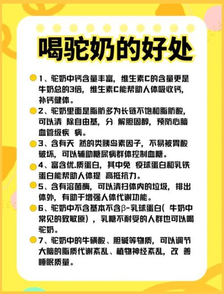 骆驼奶的功效与作用_骆驼奶的营养价值有哪些-第1张图片-山城妙识