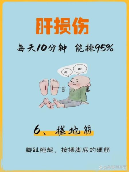 肝脏排毒时间是什么时候_如何科学护肝-第3张图片-山城妙识