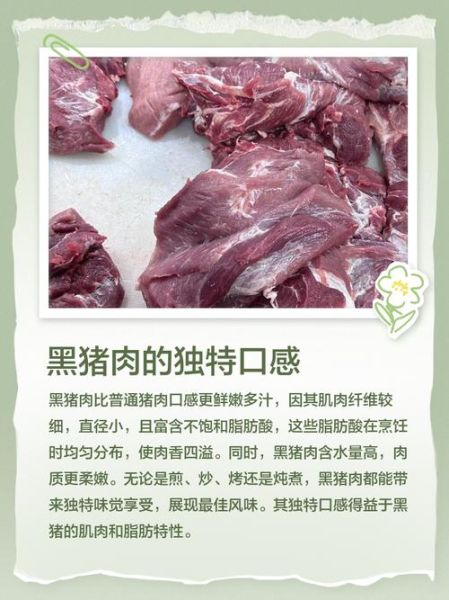 黑猪肉的营养价值_黑猪肉和普通猪肉的区别-第1张图片-山城妙识