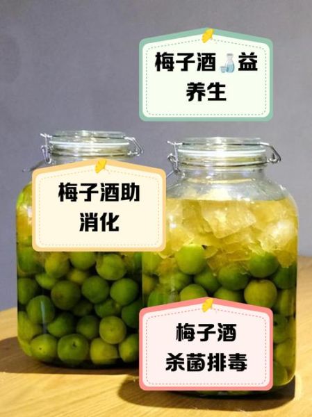 梅酒怎么喝_梅酒功效与作用-第3张图片-山城妙识