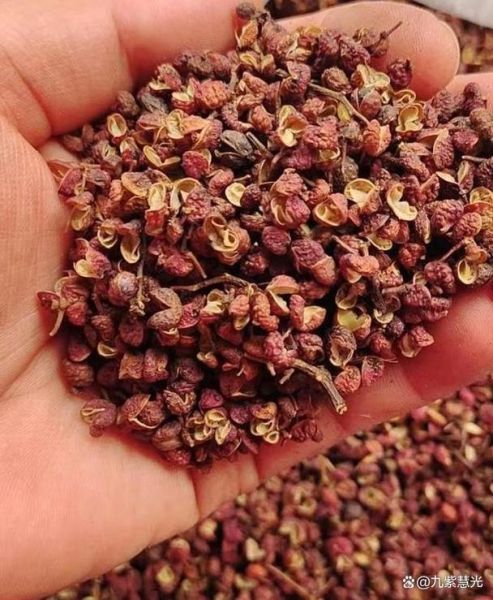 花椒治痔疮真的有用吗_花椒治痔疮的正确用法-第2张图片-山城妙识