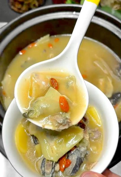 水鱼煲鸡汤放什么药材_水鱼鸡汤药材搭配禁忌-第3张图片-山城妙识