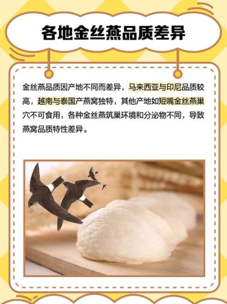 金丝燕燕窝有什么功效_金丝燕燕窝适合什么人吃-第1张图片-山城妙识