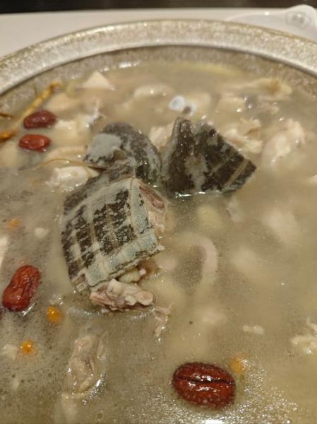 水鱼煲鸡汤放什么药材_水鱼鸡汤药材搭配禁忌-第2张图片-山城妙识