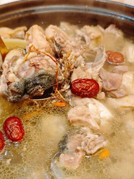 水鱼煲鸡汤放什么药材_水鱼鸡汤药材搭配禁忌-第1张图片-山城妙识