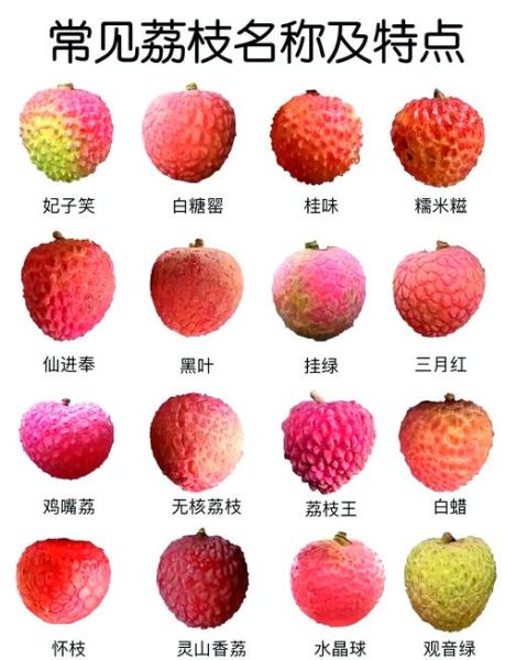 荔枝什么时候成熟_荔枝几月份上市-第2张图片-山城妙识