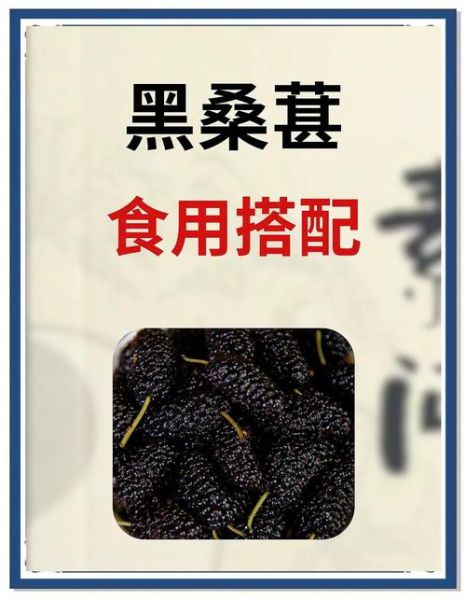 黑桑葚的功效与作用_黑桑葚的食用禁忌-第3张图片-山城妙识
